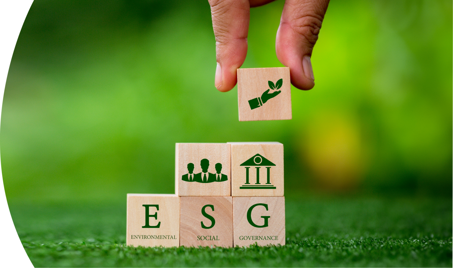 Environmental, Social & Governance - Somerset Bridge Group